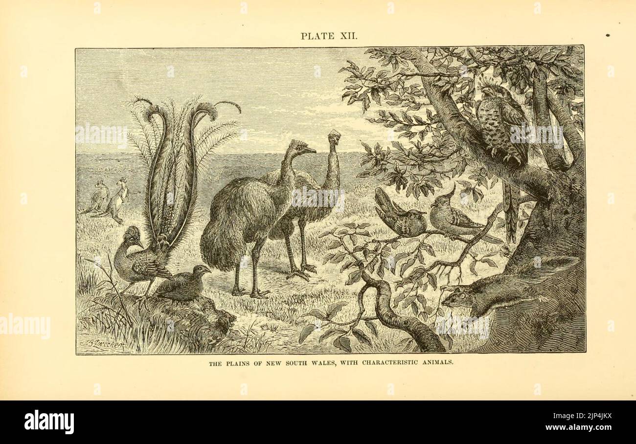 The geographical distribution of animals Stock Photo - Alamy