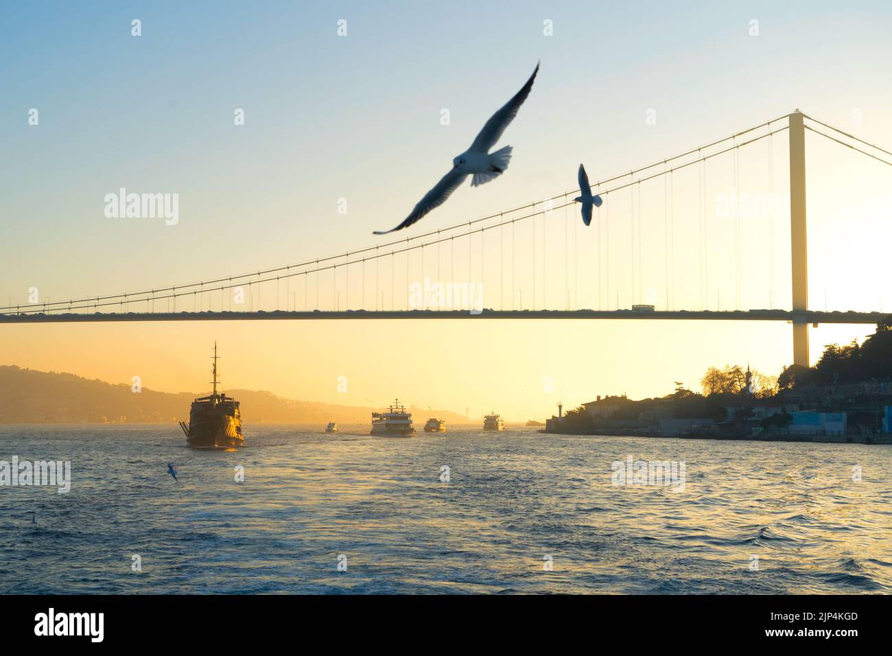 Skyline of Istanbul, Turkey Stock Photo - Alamy