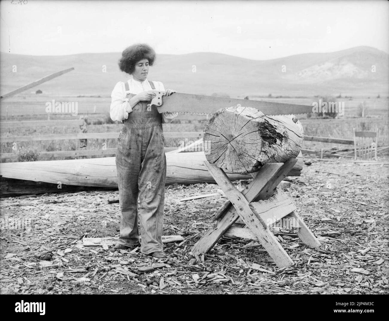 The Girls in the Overalls - Sawing a log Stock Photo - Alamy
