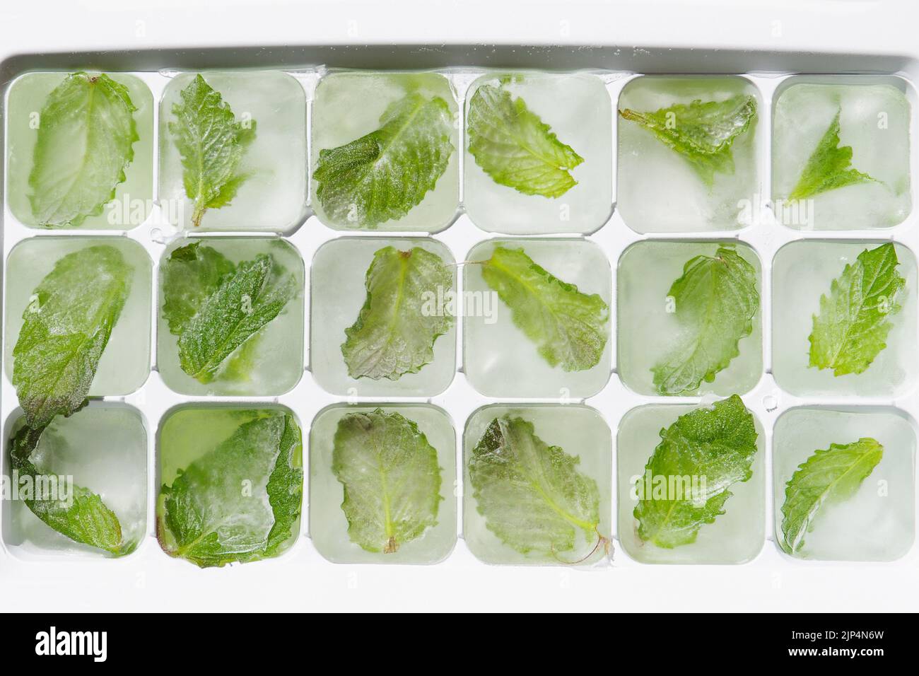Mint leaves frozen in ice cubes. Fresh thirst-quenching mint for the ...