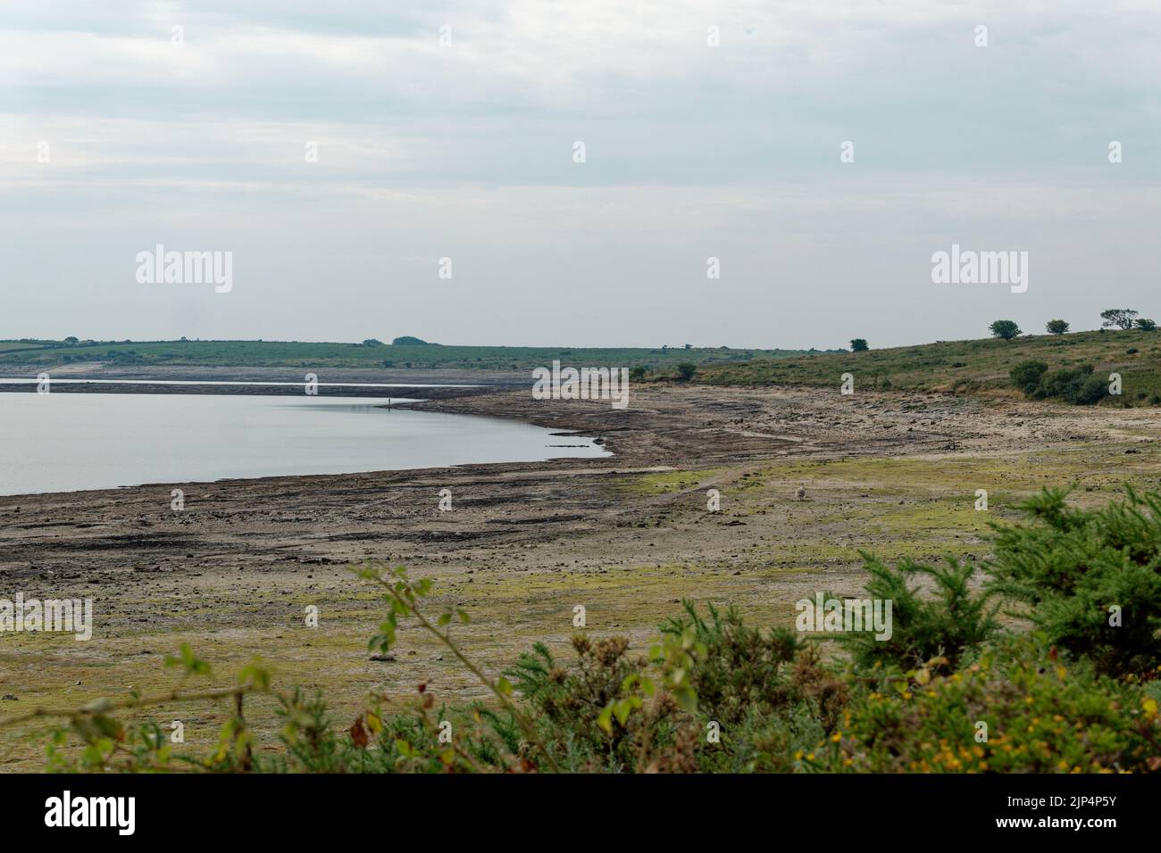 Low water levels at Colliford Lake in Cornwall, August 2022 Stock Photo ...