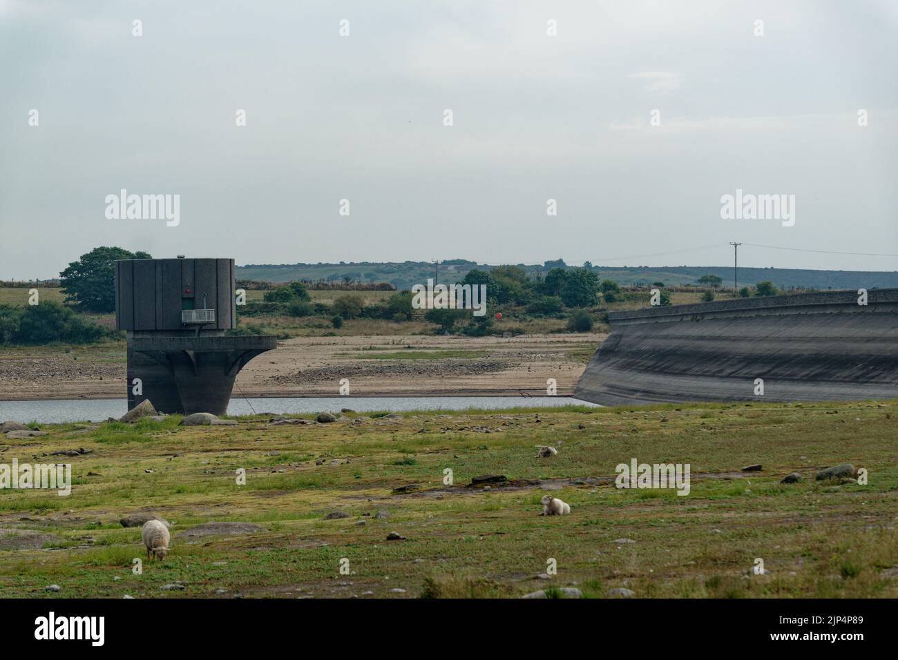 Low water levels at Colliford Lake in Cornwall, August 2022 Stock Photo ...