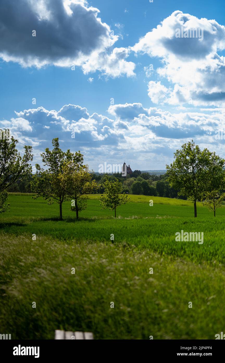 A vertical shot of a green field with trees and clouds in the bright ...