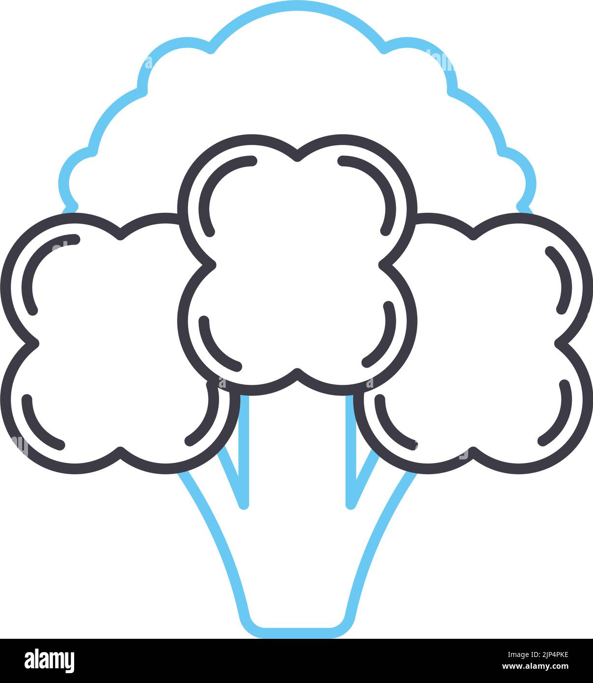 broccoli line icon, outline symbol, vector illustration, concept sign ...