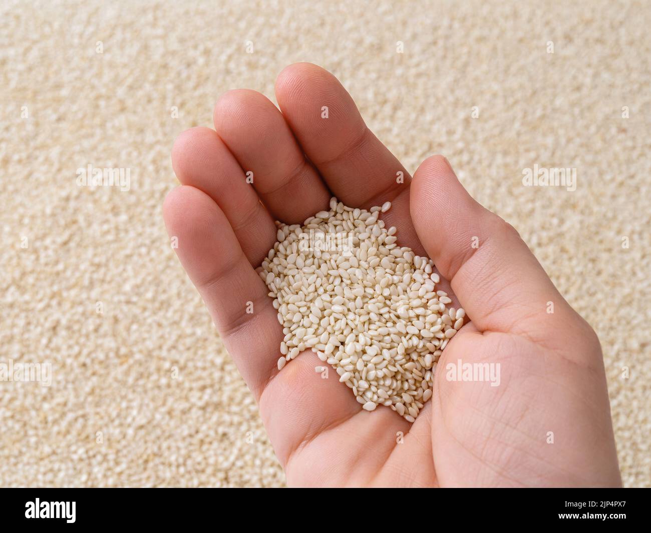 Raw sesame seeds on a caucasian woman hand palm against white til ...