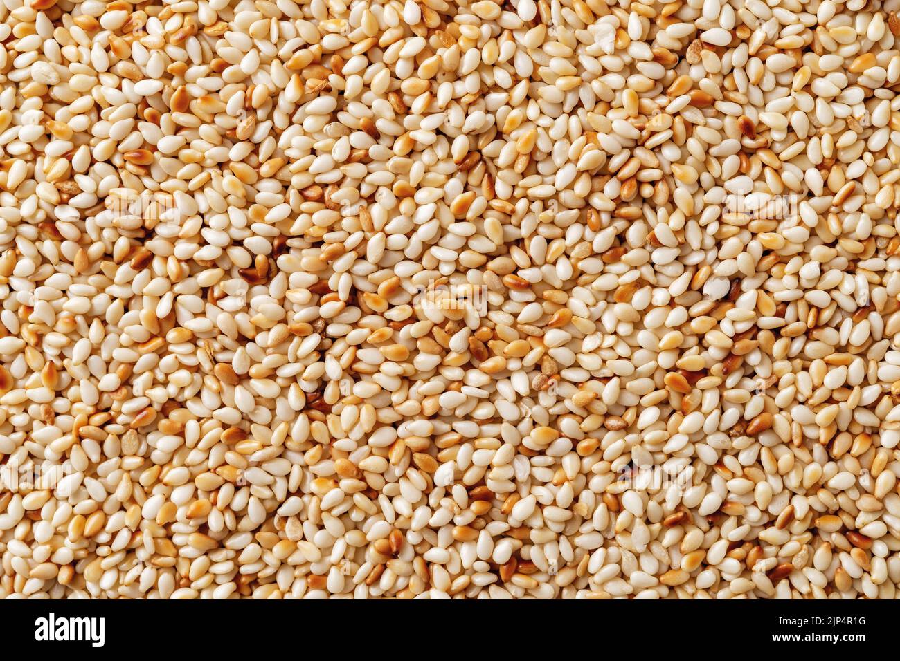 Roasted sesame seeds macro background. Texture of toasted Sesamum ...