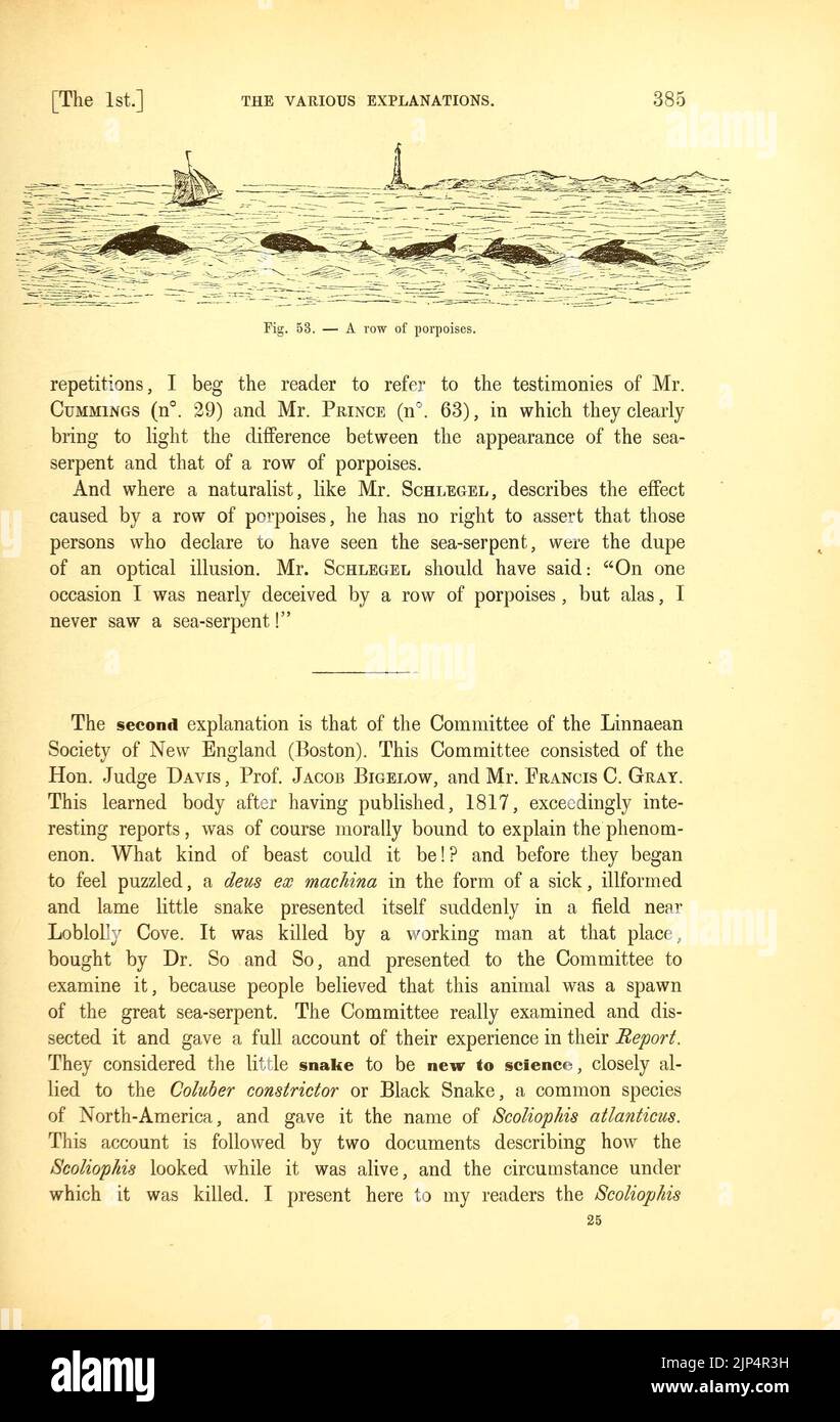 The great sea-serpent (Page 385 Stock Photo - Alamy