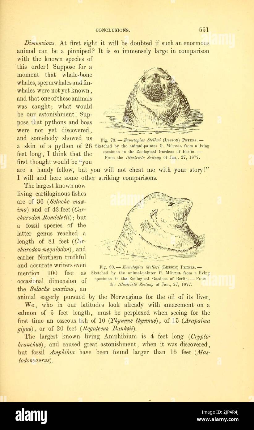 The great sea-serpent (Page 551 Stock Photo - Alamy