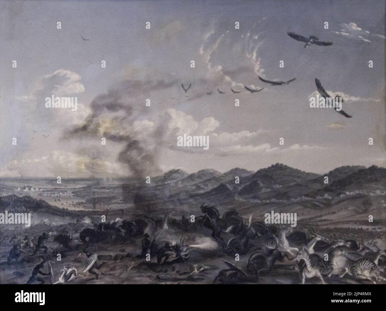 The greatest hunt in history near Bloemfontein 1860 Stock Photo - Alamy