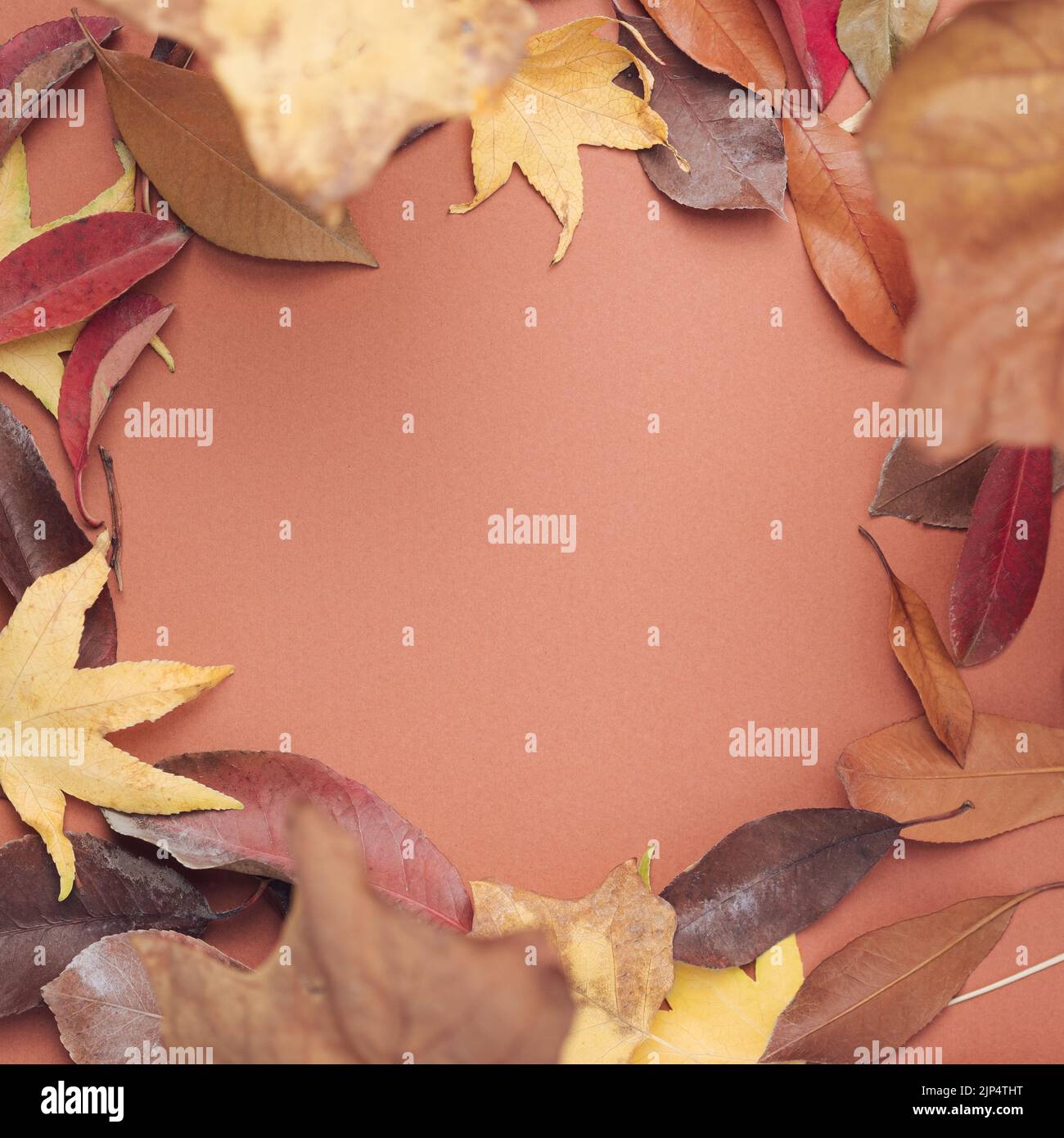 Autumn leaves with windy circular motion. Fall weather minimal ...