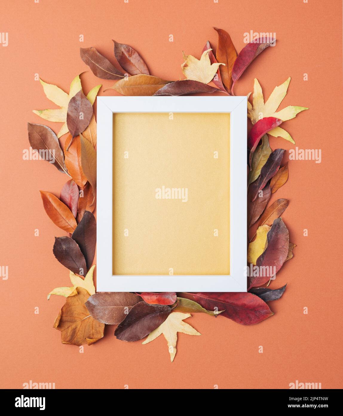 Leaves falling around hi-res stock photography and images - Alamy