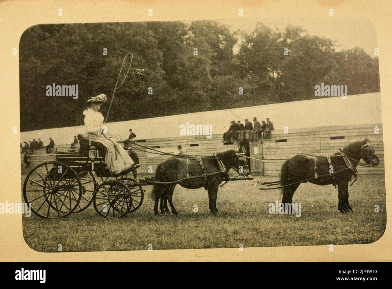 The Harness makers' guide Stock Photo - Alamy