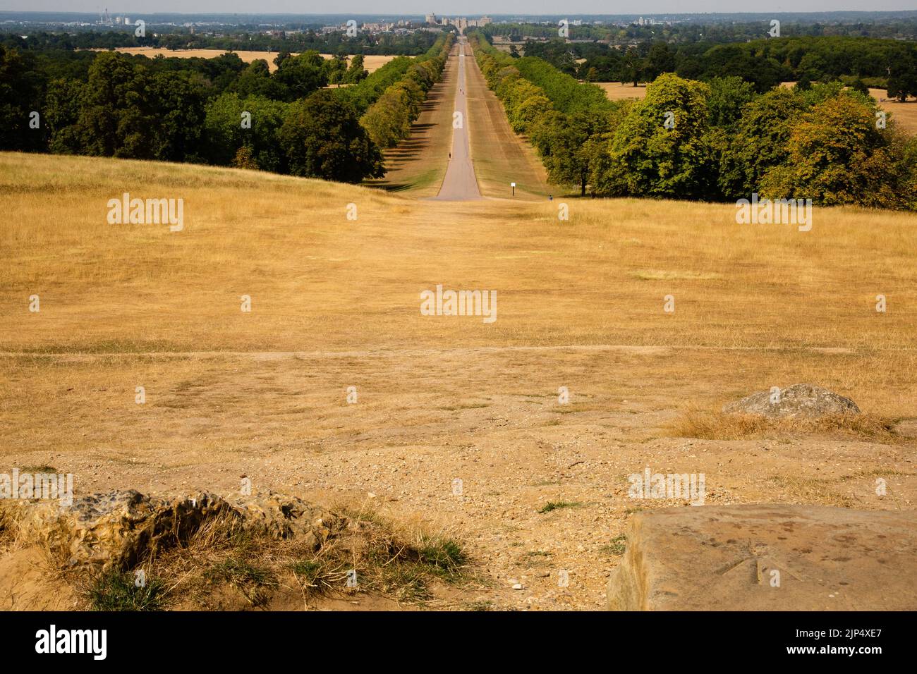 Windsor, UK. 15th August, 2022. Sun-bleached grass is pictured on Snow ...