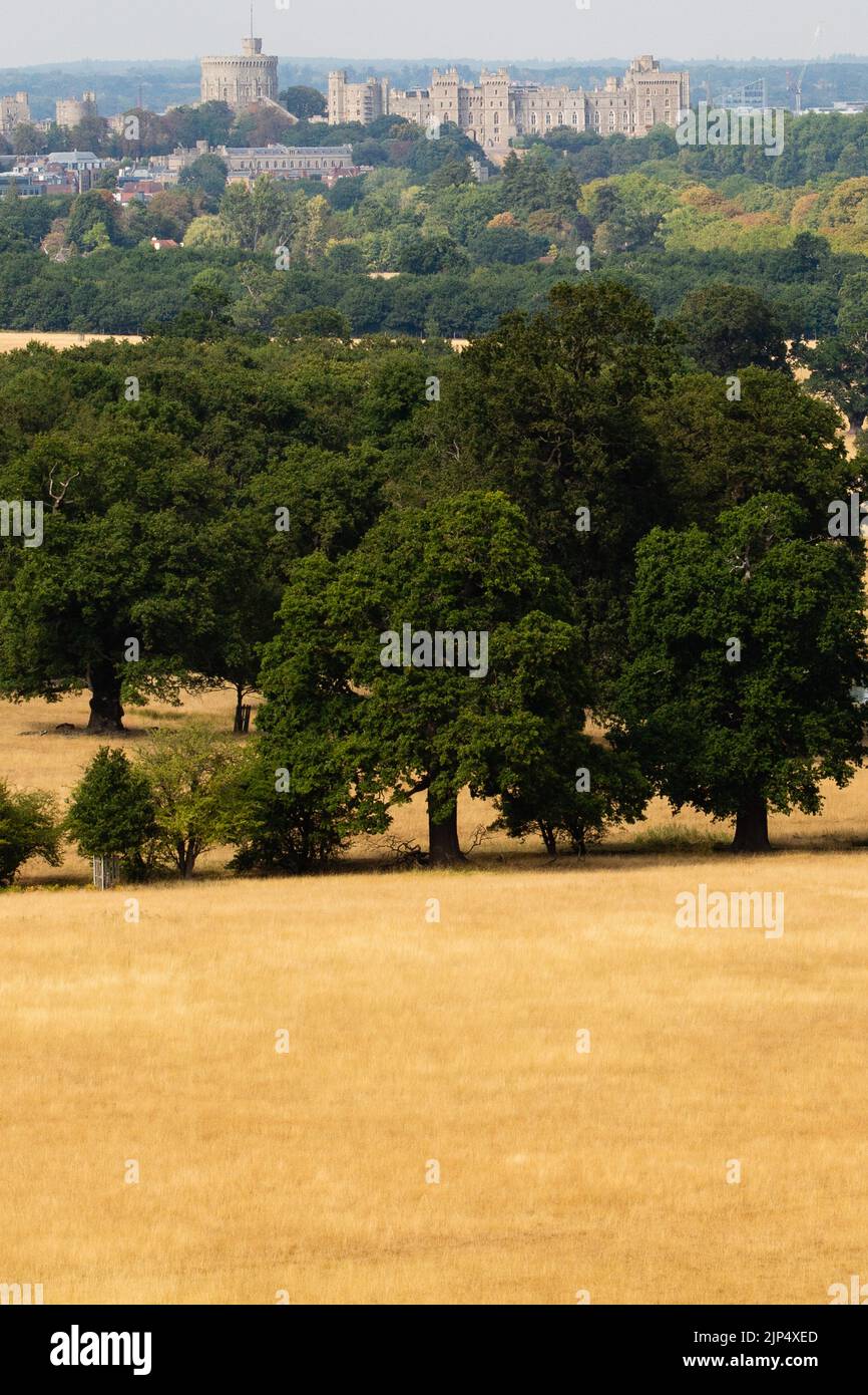 Windsor, UK. 15th August, 2022. Windsor Castle is viewed across sun ...