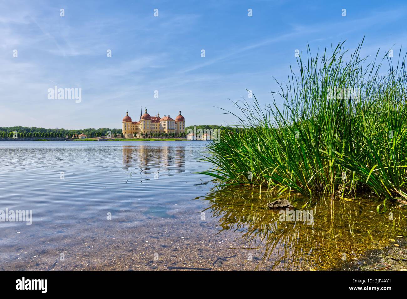 Mildenstein Castle in Leisnig Germany aerial photo nice weather Stock ...