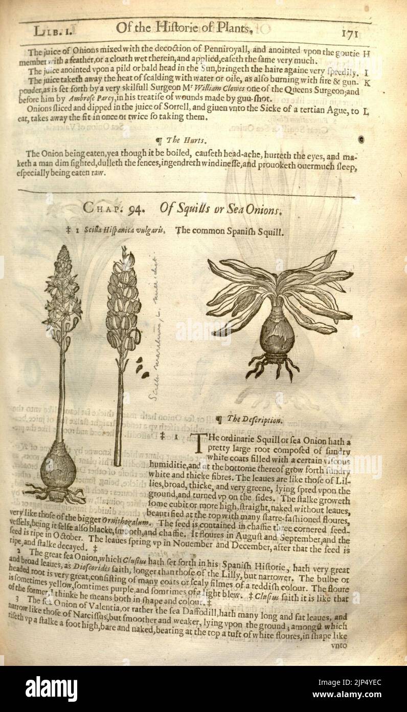 The herball, or, Generall historie of plantes (Page 171 Stock Photo - Alamy