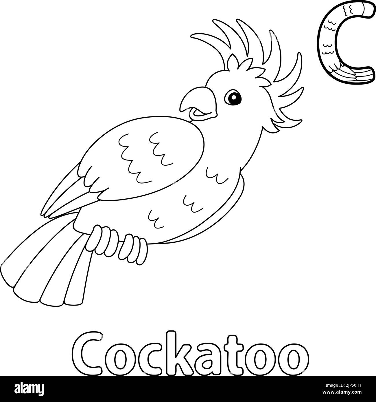 Cockatoo Alphabet ABC Coloring Page C Stock Vector Image & Art - Alamy