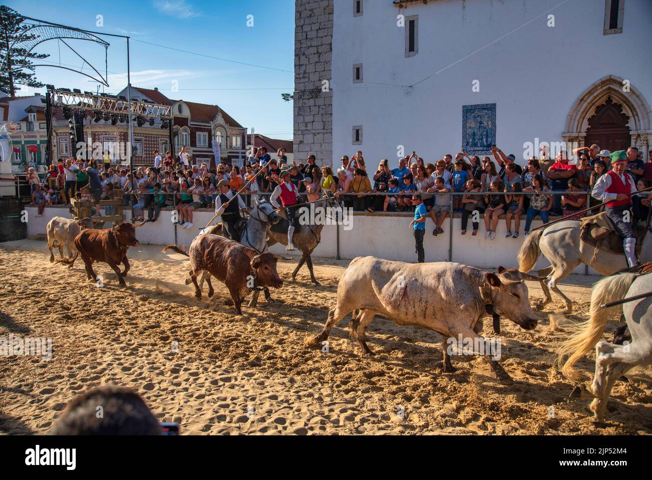 Barrete Verde Bull festival in Alcochete Portugal Stock Photo - Alamy