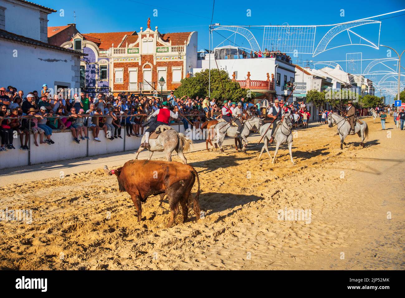 Barrete Verde Bull festival in Alcochete Portugal Stock Photo - Alamy
