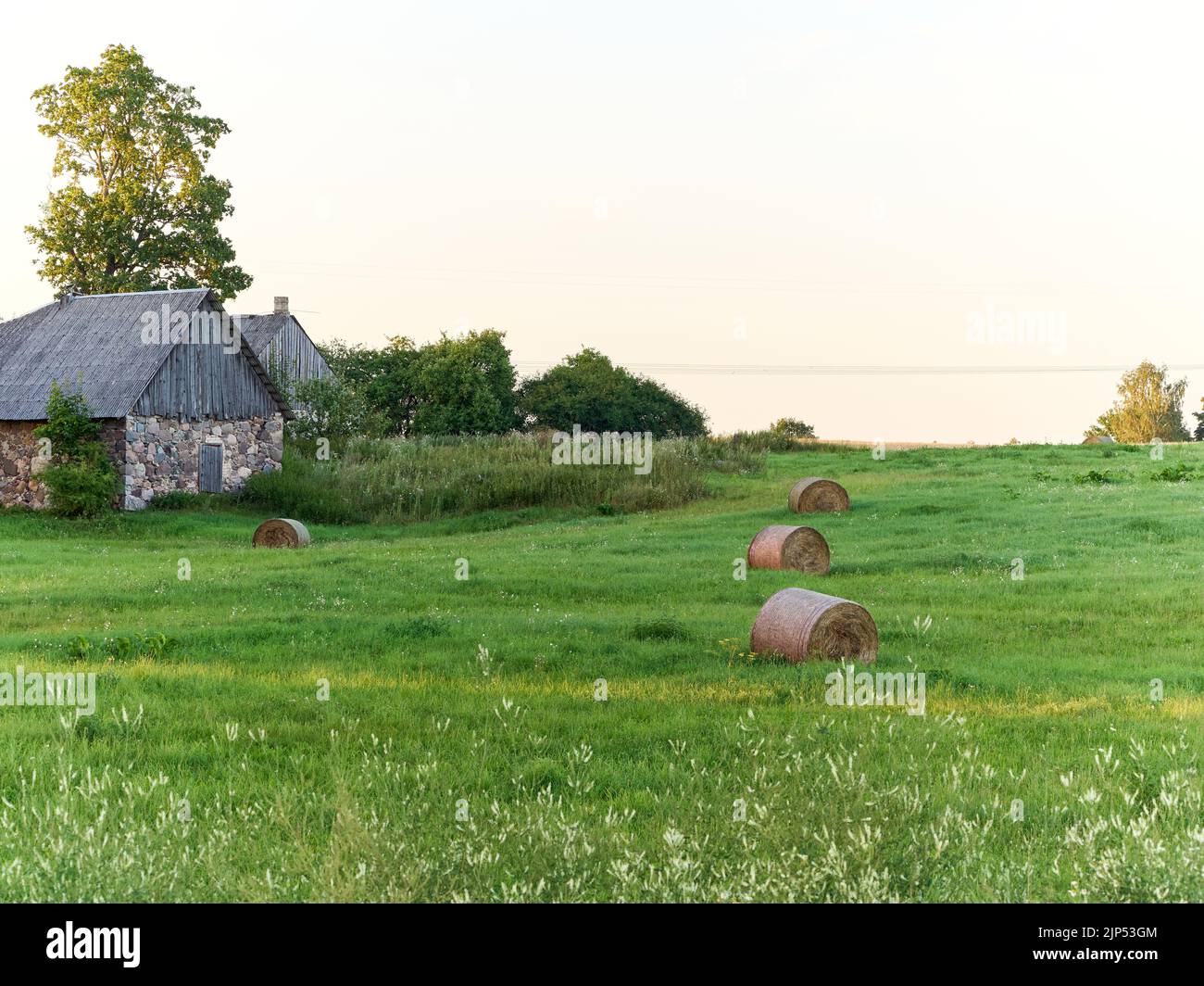 Green agricultural field with haystacks and old stone barn. Big tree ...