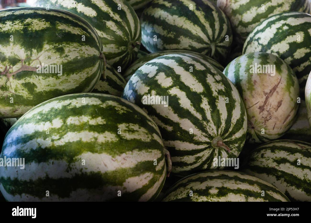Watermelons. Close-up of green watermelons at a Farmer's Market Stock ...