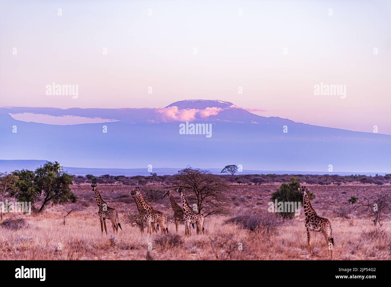Mount Kilimanjaro is a dormant volcano in Tanzania. It is the highest ...
