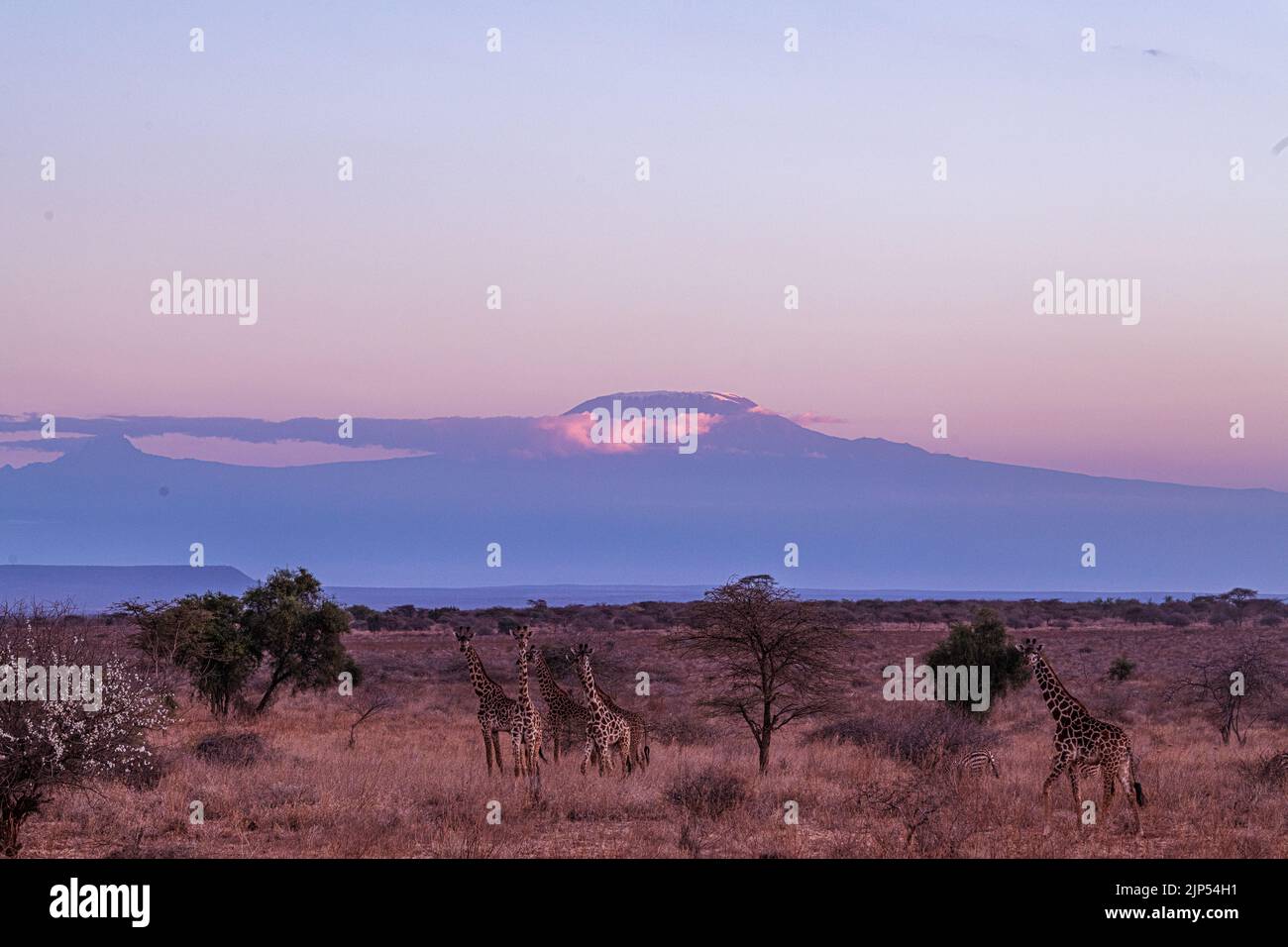 Mount Kilimanjaro is a dormant volcano in Tanzania. It is the highest ...