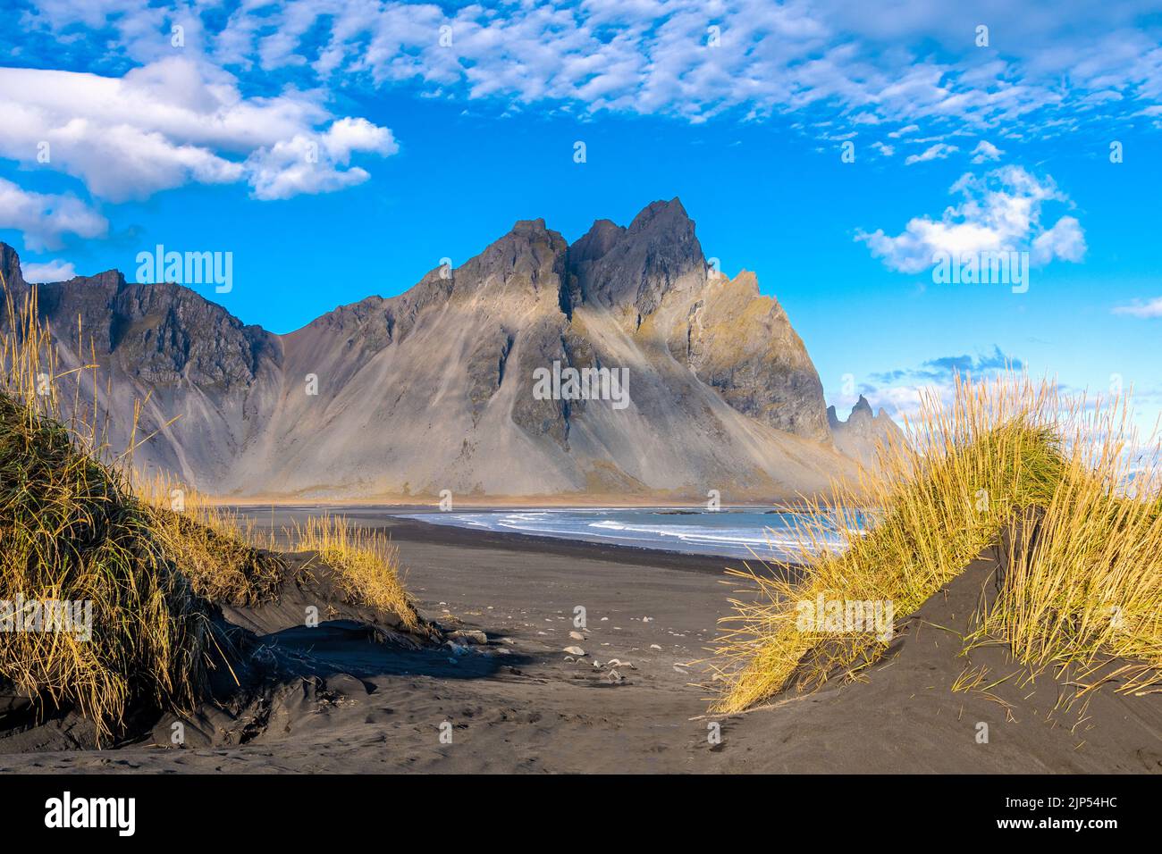 beautiful Iceland with horses and landscape Stock Photo - Alamy