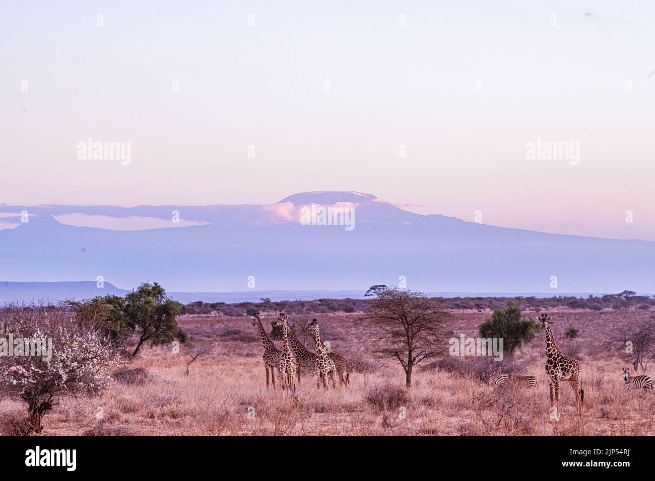 Mount Kilimanjaro is a dormant volcano in Tanzania. It is the highest ...