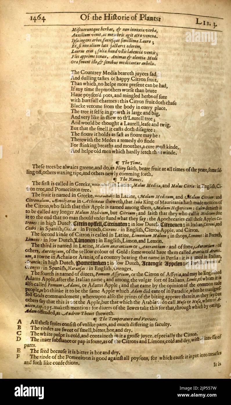 The herball, or, Generall historie of plantes (Page 1462 Stock Photo ...