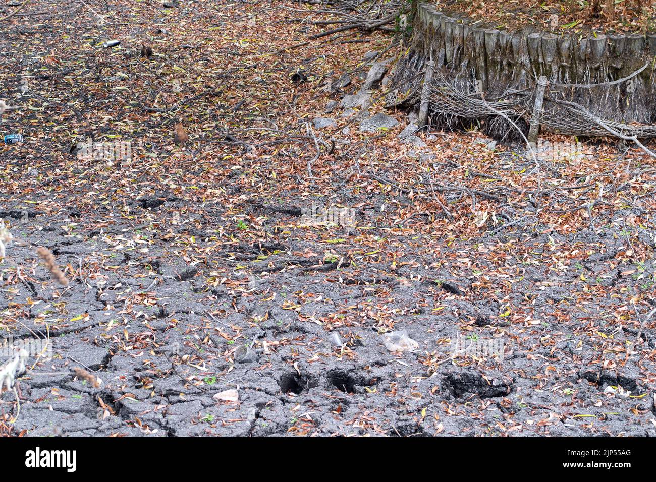 Dryed out ponds hi-res stock photography and images - Alamy