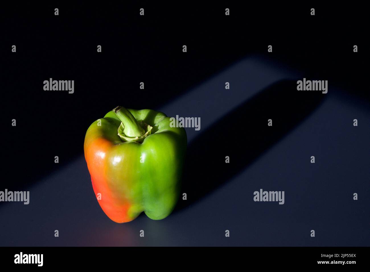 A single Bell Pepper on the kitchen table with black background Stock ...