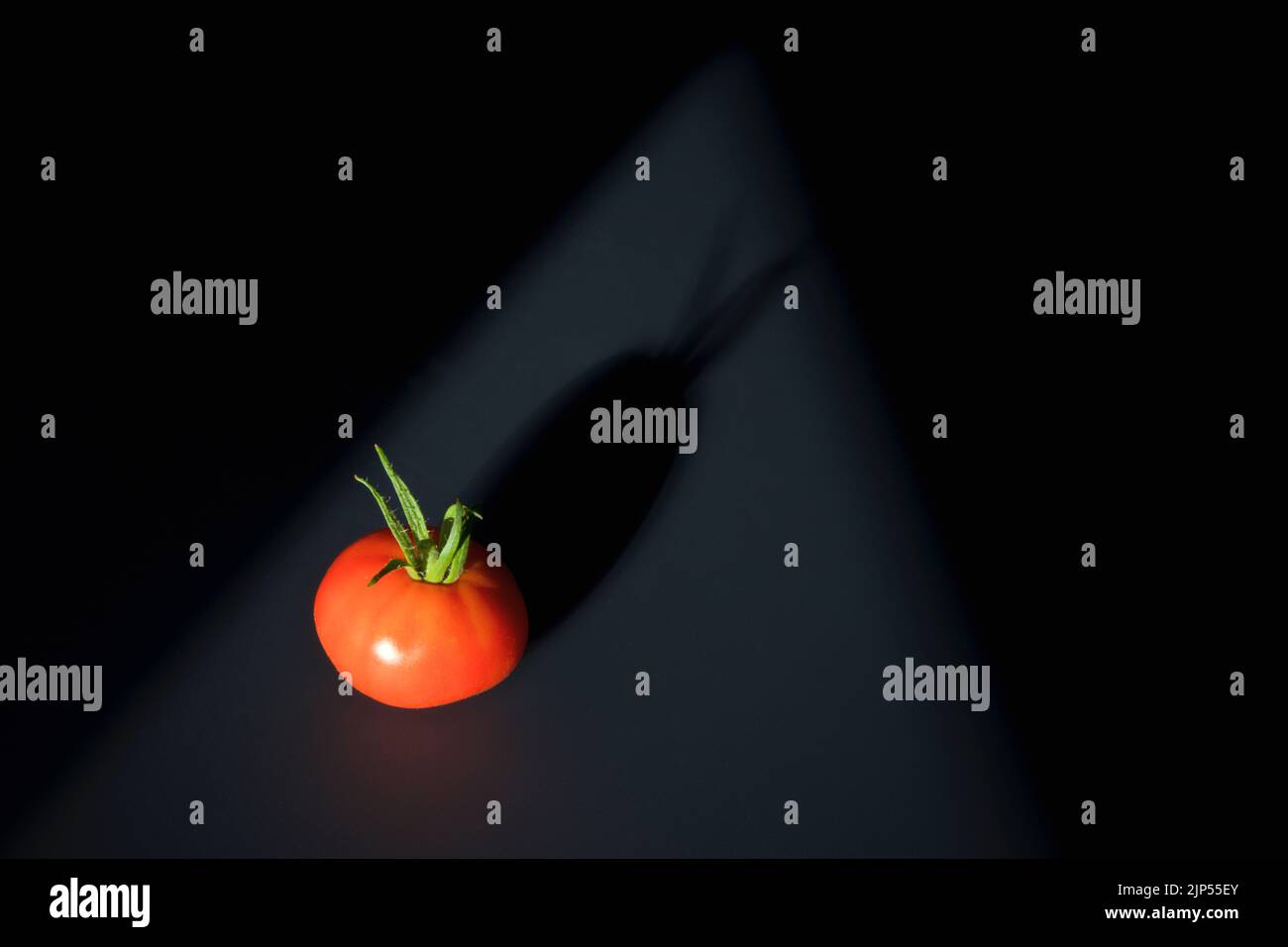 A single tomatoes on the kitchen table with shadow Stock Photo - Alamy