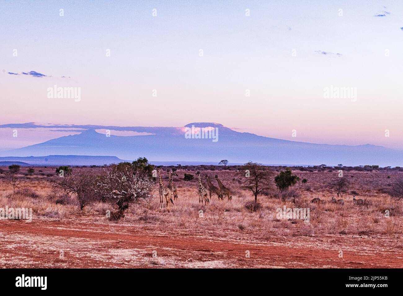 Mount Kilimanjaro is a dormant volcano in Tanzania. It is the highest ...