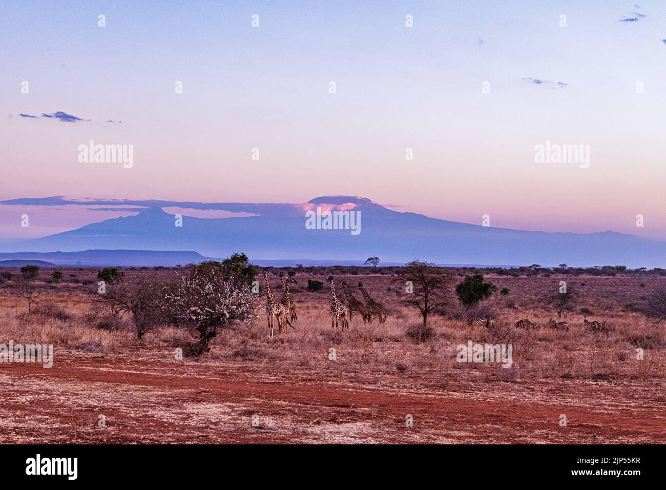 Mount Kilimanjaro is a dormant volcano in Tanzania. It is the highest ...
