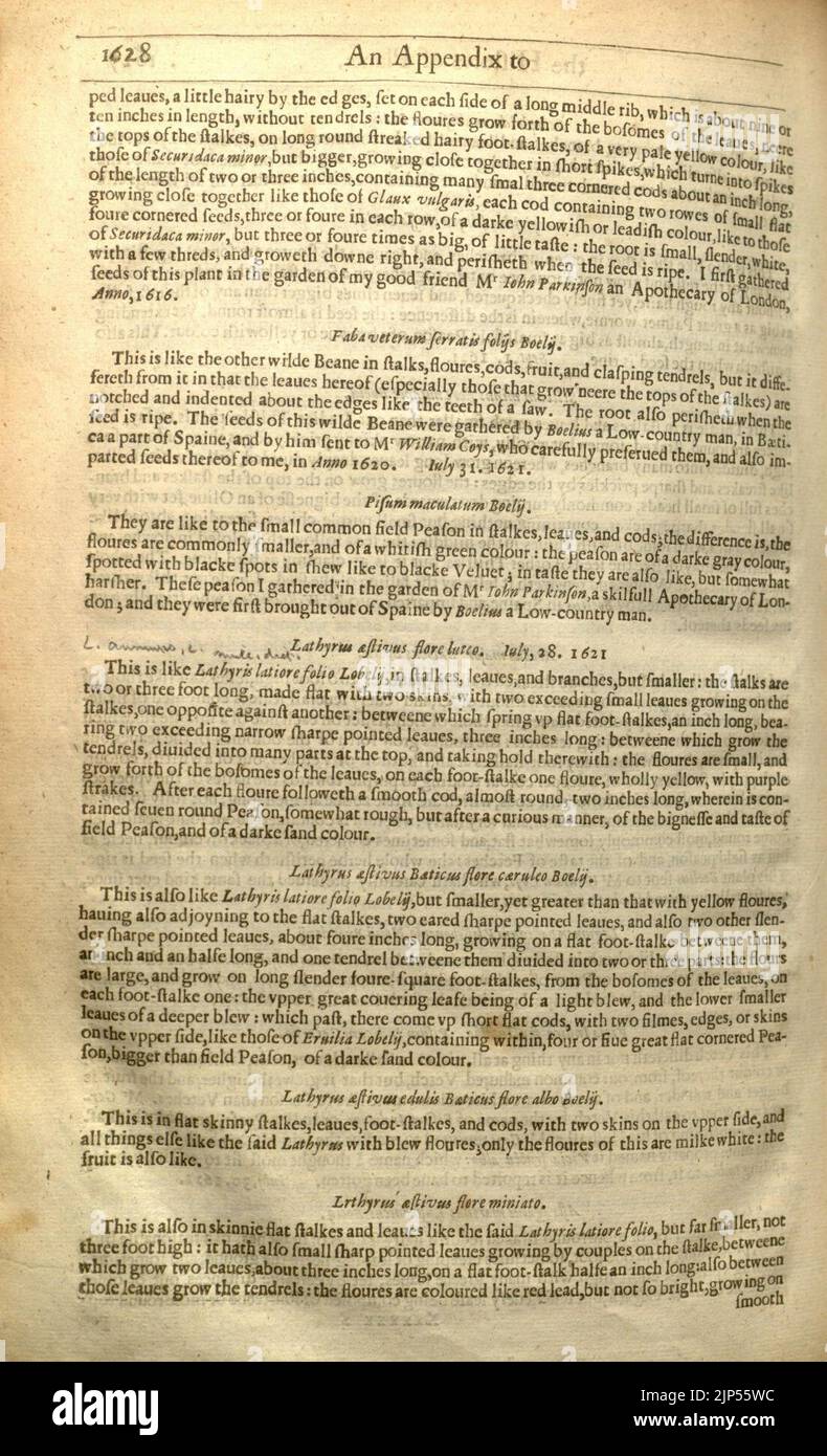 The herball, or, Generall historie of plantes (Page 1624 Stock Photo ...