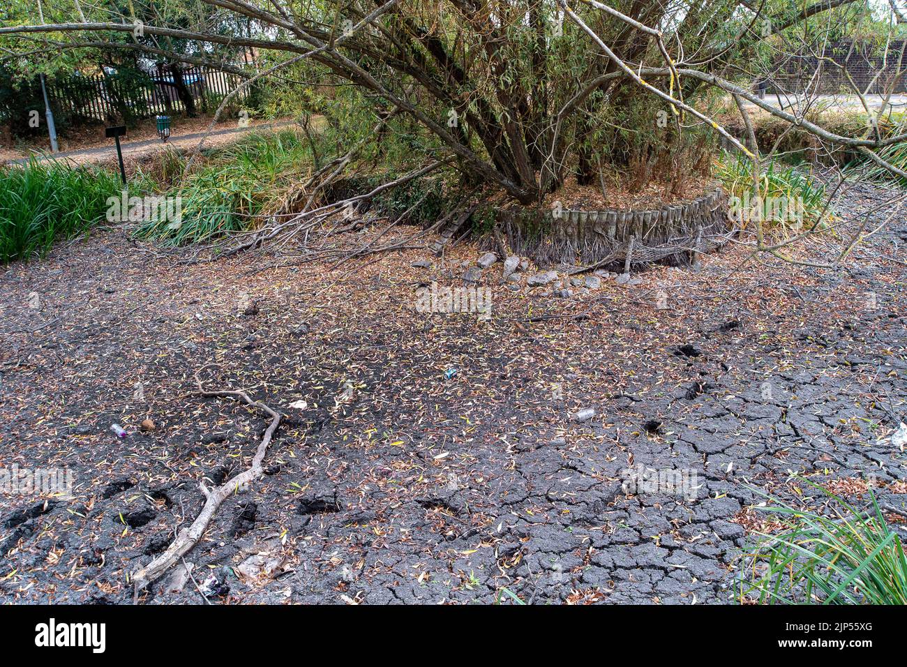 Dryed out ponds hi-res stock photography and images - Alamy