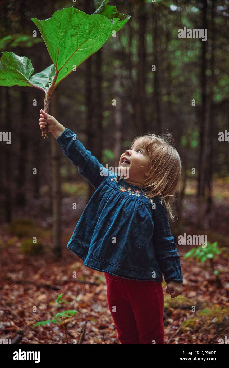 beautiful child is hiding in the forest from the rain Stock Photo - Alamy