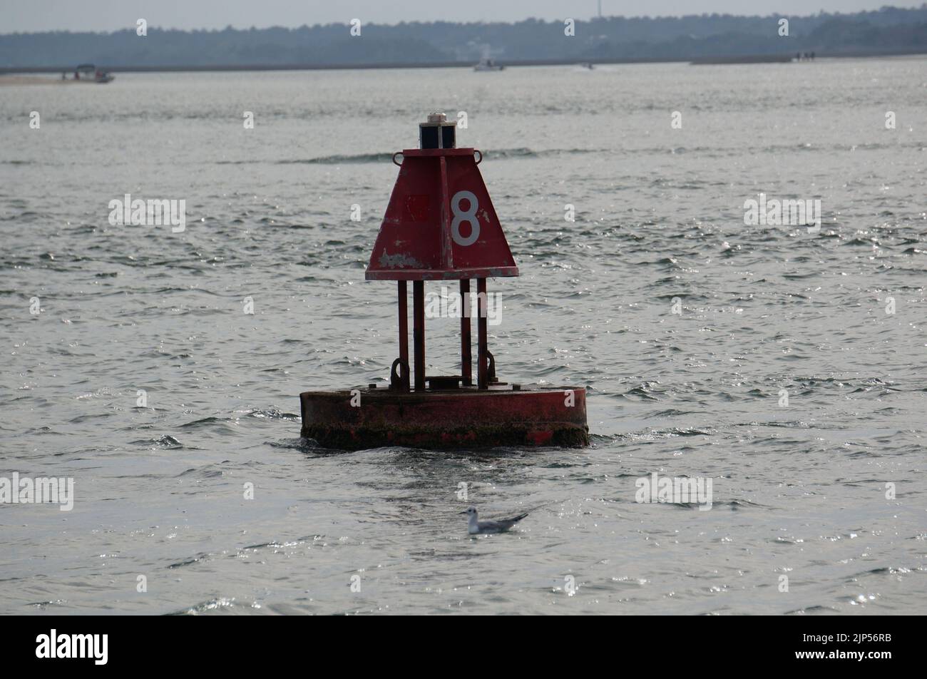 A red rusty navigational buoy in the water with the number 8 Stock ...