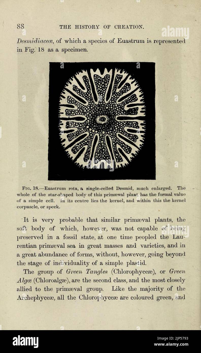 The history of creation, or, The development of the earth and its ...