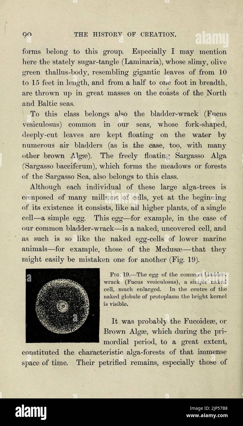 The history of creation, or, The development of the earth and its ...