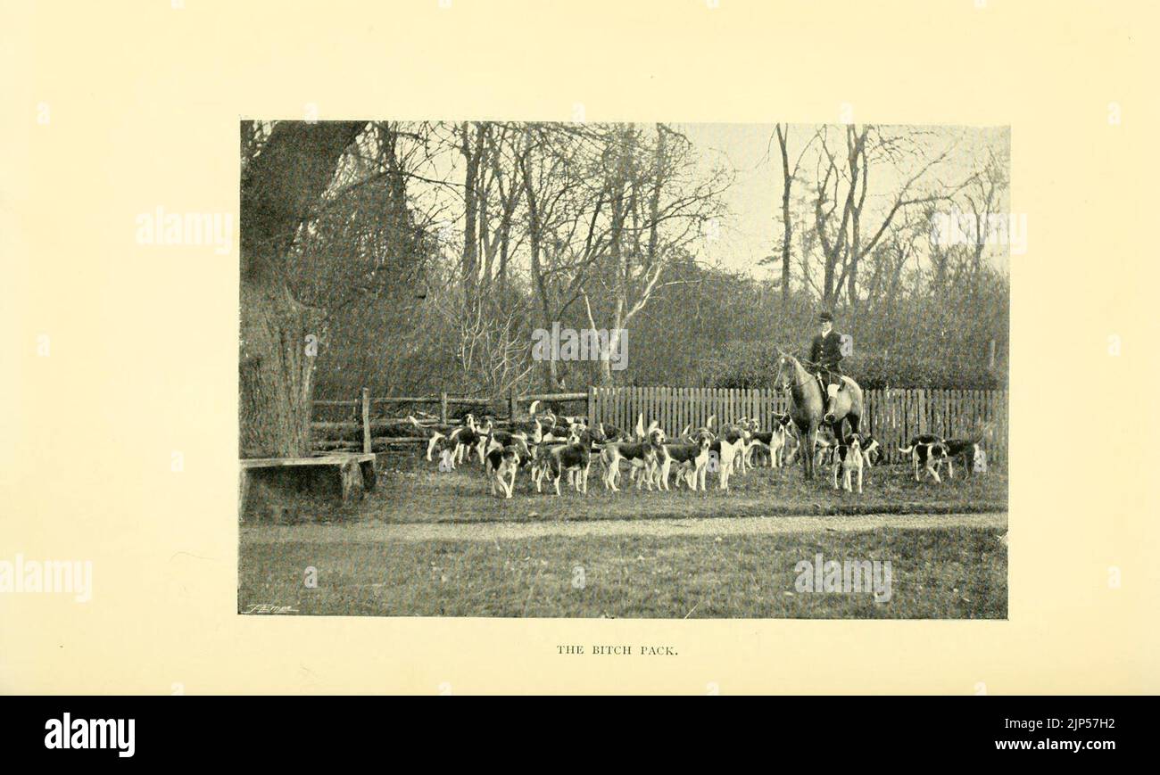 The history of the Belvoir hunt Stock Photo - Alamy