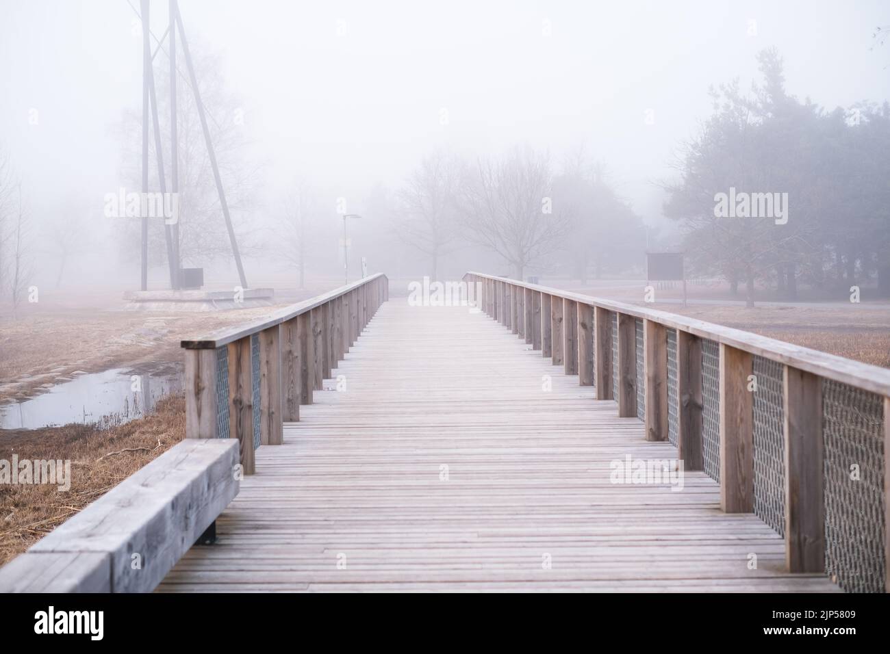 Walking path in the park during heavy fog. Weather conditions and ...