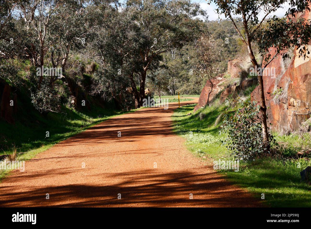 Wide path of red soil , ancient rock and native plants and trees seen ...