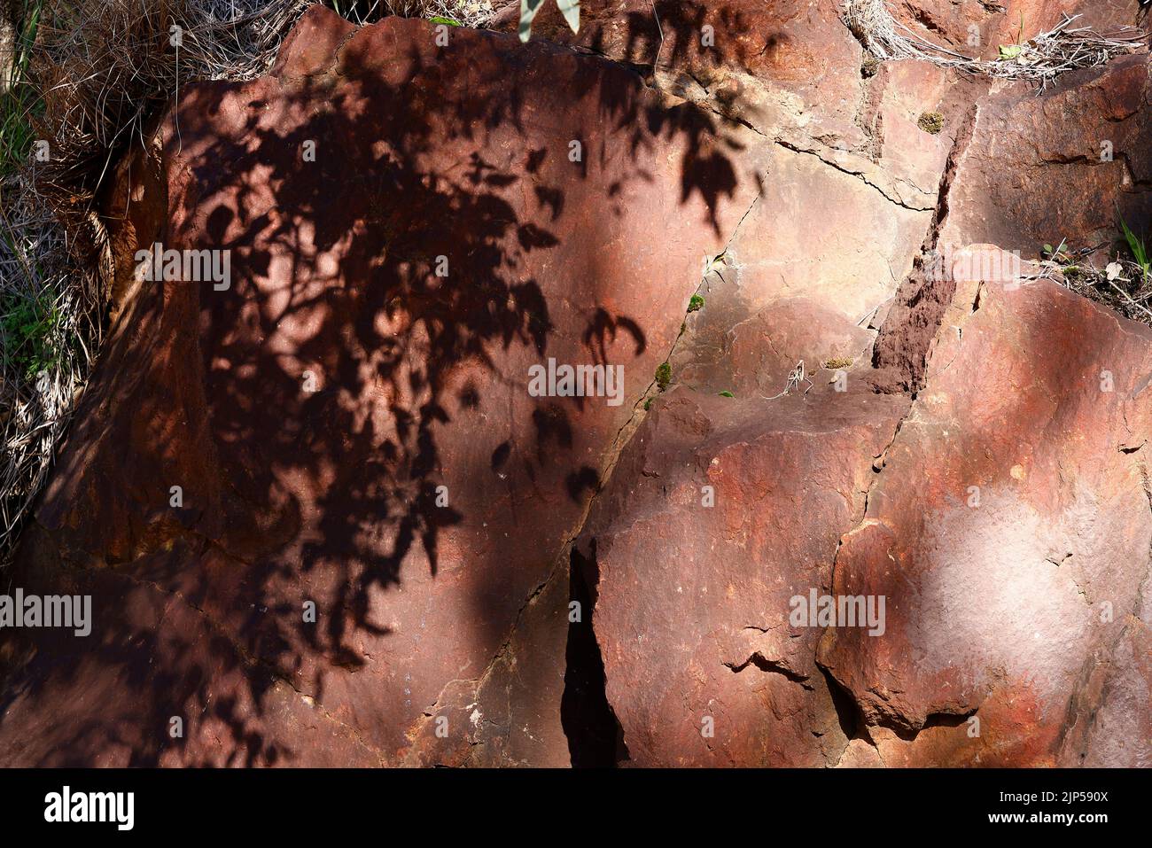 John forrest national park wa australia hi-res stock photography and ...