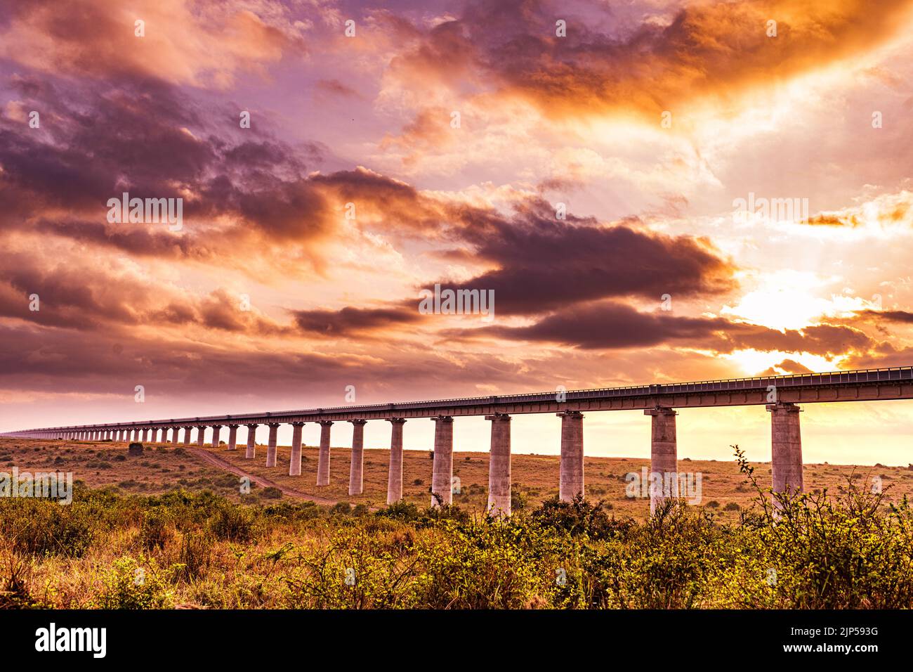 Sgr train hi-res stock photography and images - Alamy