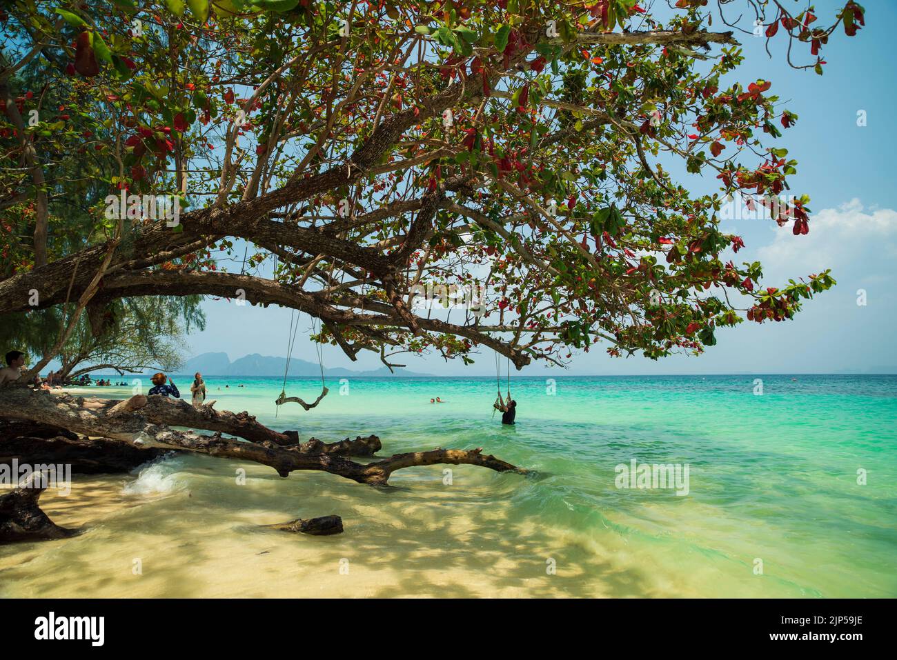 Beach on Koh Kradan Island in the Andaman Sea. Tourists cruising and ...