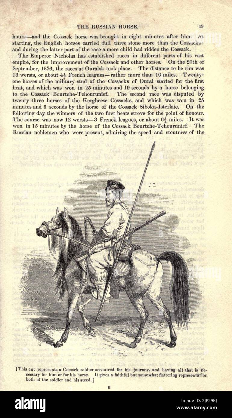 The horse (Page 49 Stock Photo - Alamy