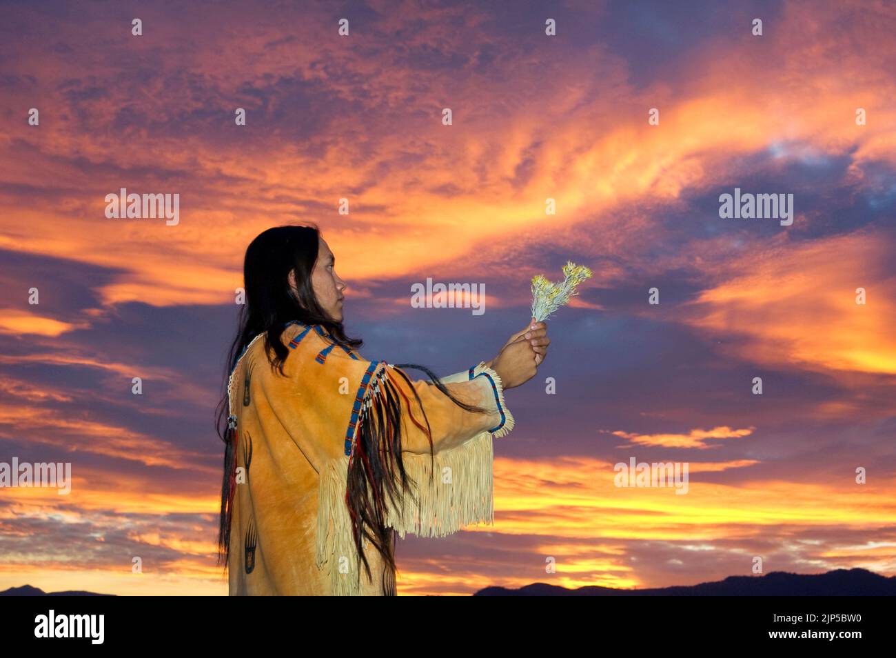 Traditional Native American man makes an offering of plant medicine to ...