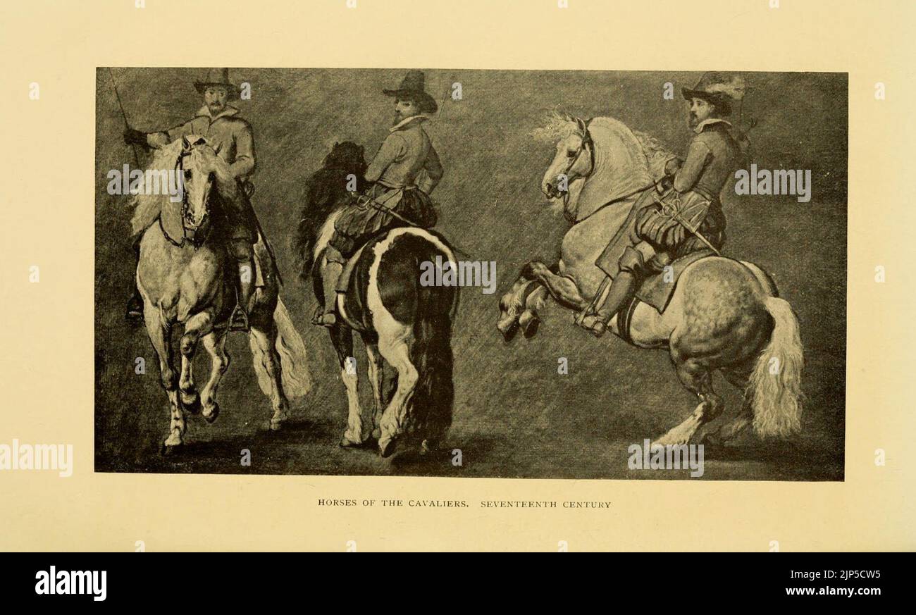 The horse in history Stock Photo - Alamy